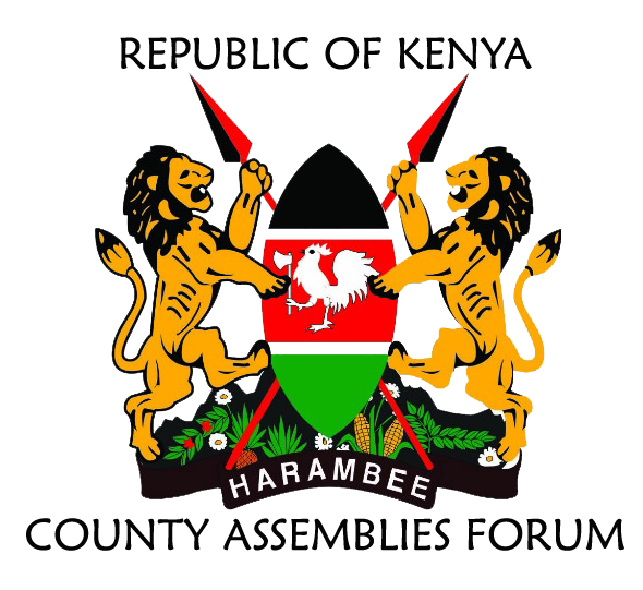 County Assembly Operation / Establishment / Composition